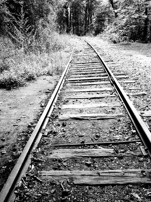 Railroad Tracks Poster Print - Gail Peck - Posterazzi