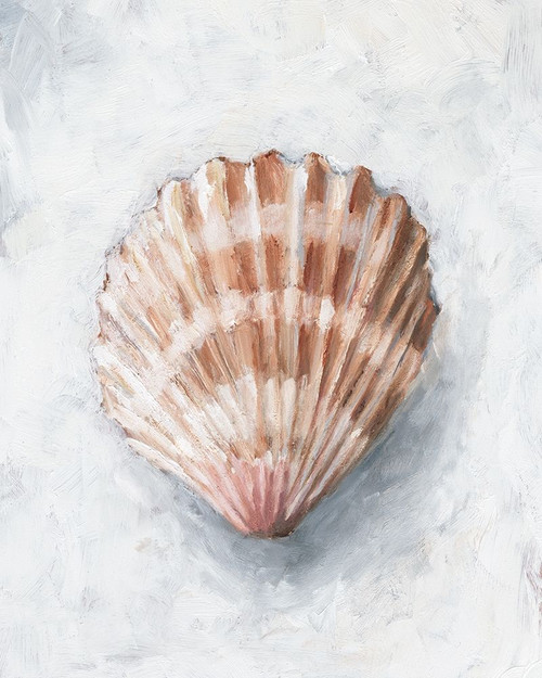 White Shell Study IV Poster Print - Ethan Harper - Posterazzi