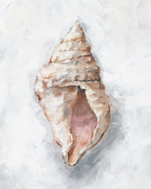 White Shell Study III Poster Print - Ethan Harper - Posterazzi
