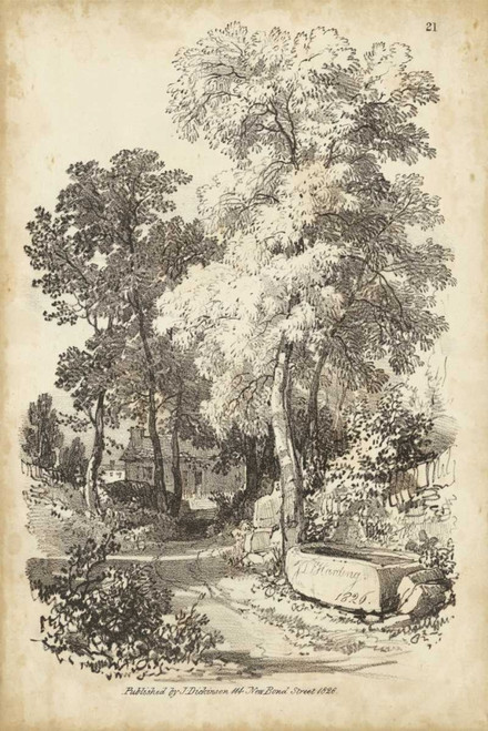 Noble Tree I Poster Print - J.D. Harding - Posterazzi