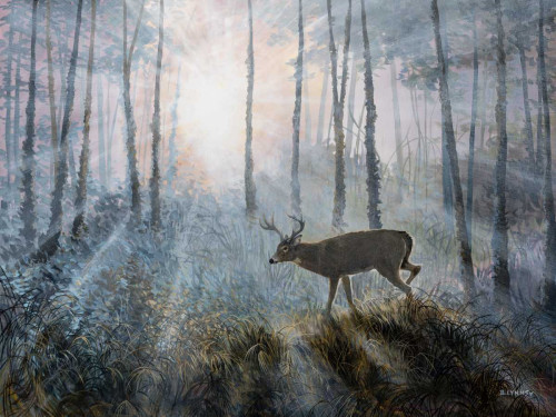 Deer Path IV Poster Print - B. Lynnsy - Posterazzi