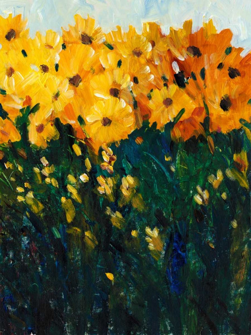 Color Spectrum Flowers II Poster Print - Tim OToole - Posterazzi