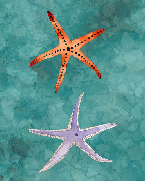 Twin Starfish III Poster Print - Alicia Ludwig - Posterazzi