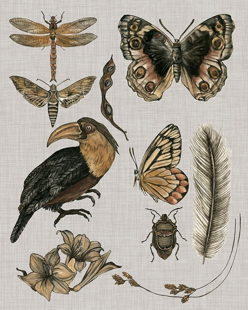 Nature Studies I Poster Print - Melissa Wang - Posterazzi