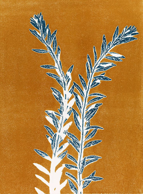 Nutmeg Duo 1 Poster Print - Studio MMB - Posterazzi