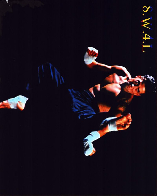 Sasha Mitchell In Kickboxer 2: The Road Back Photo Print - Item ...