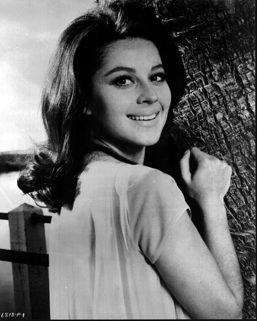 Sherry Jackson Leaning On Tree Black And White Photo Print - Item ...
