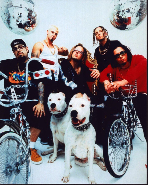 Korn Group With Two White Dogs Photo Print - Item # MVM58376 - Posterazzi