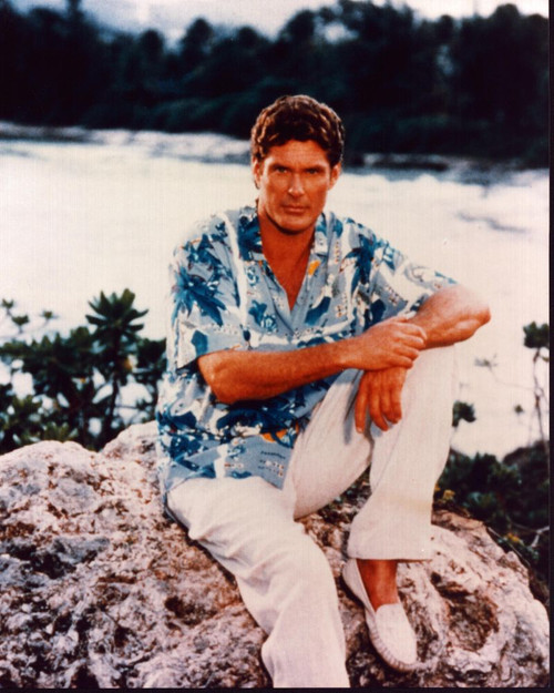 David Hasselhoff Sitting On Rocks Photo Print - Item # MVM59640 ...