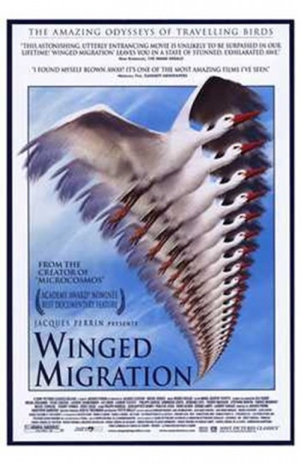 Winged Migration Movie Poster (11 x 17) - Item # MOV190765 - Posterazzi