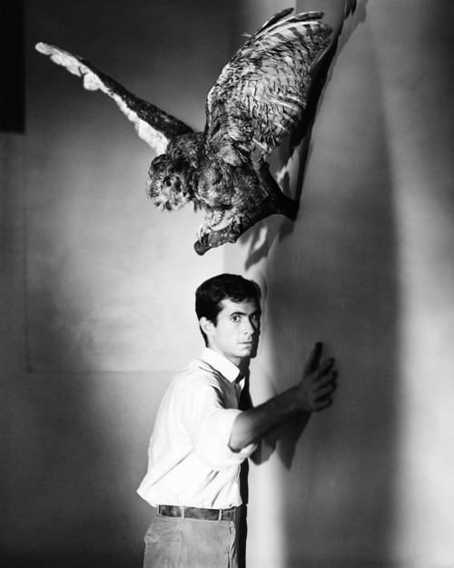 Psycho Photo Print - Item # VAREVCMBDPSYCEC069 - Posterazzi