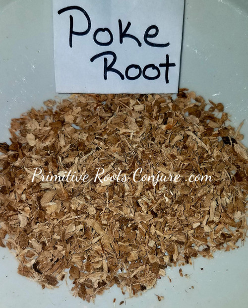 Organic Poke Root 1oz - Primitive Roots Conjure