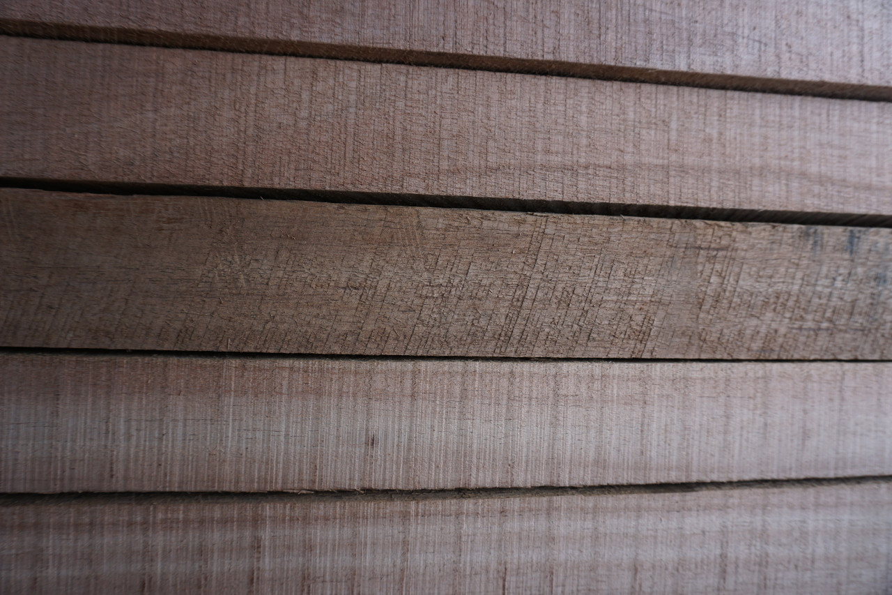 Queensland Maple | Creative Timbers