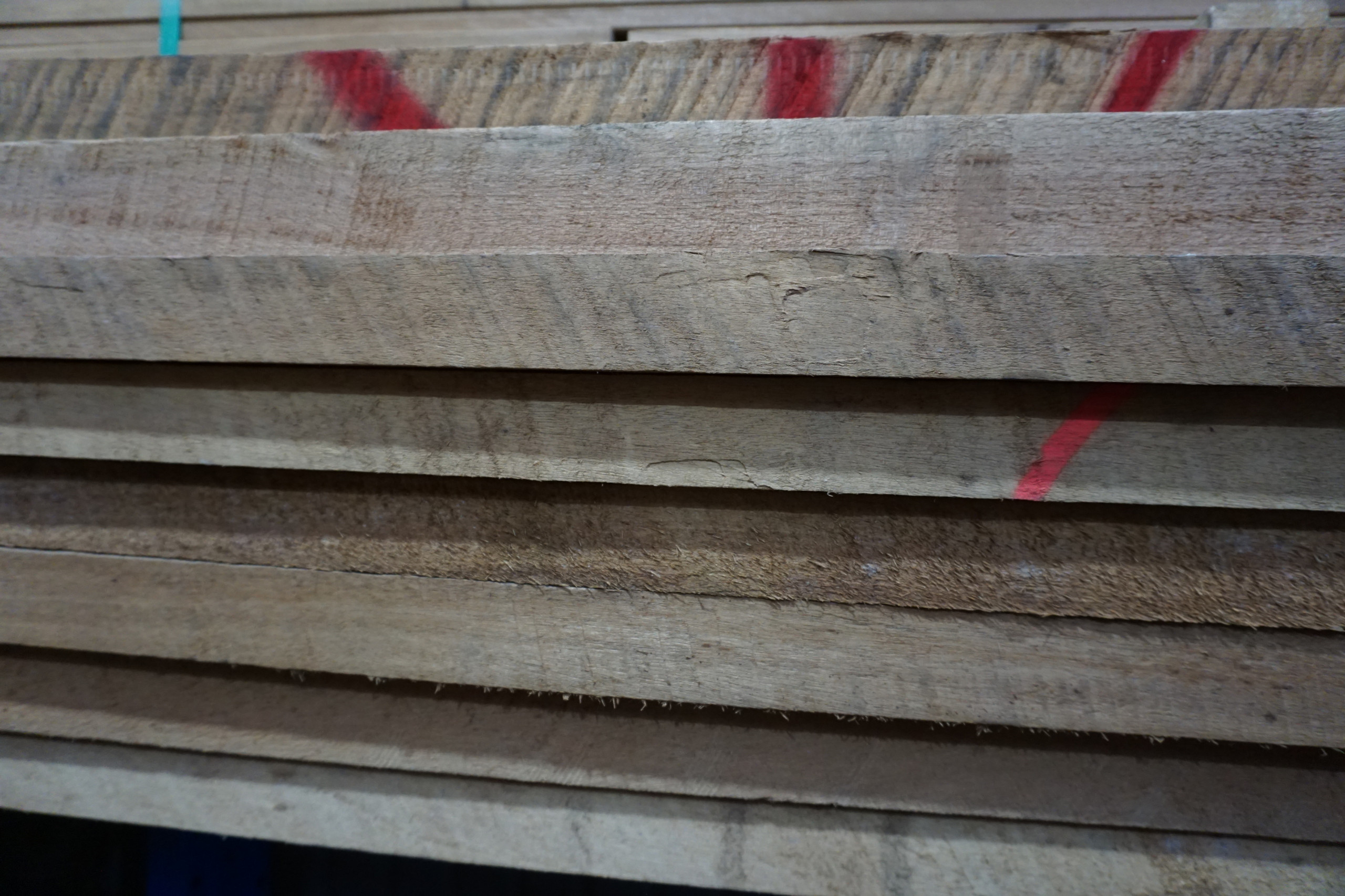 Queensland Maple | Creative Timbers