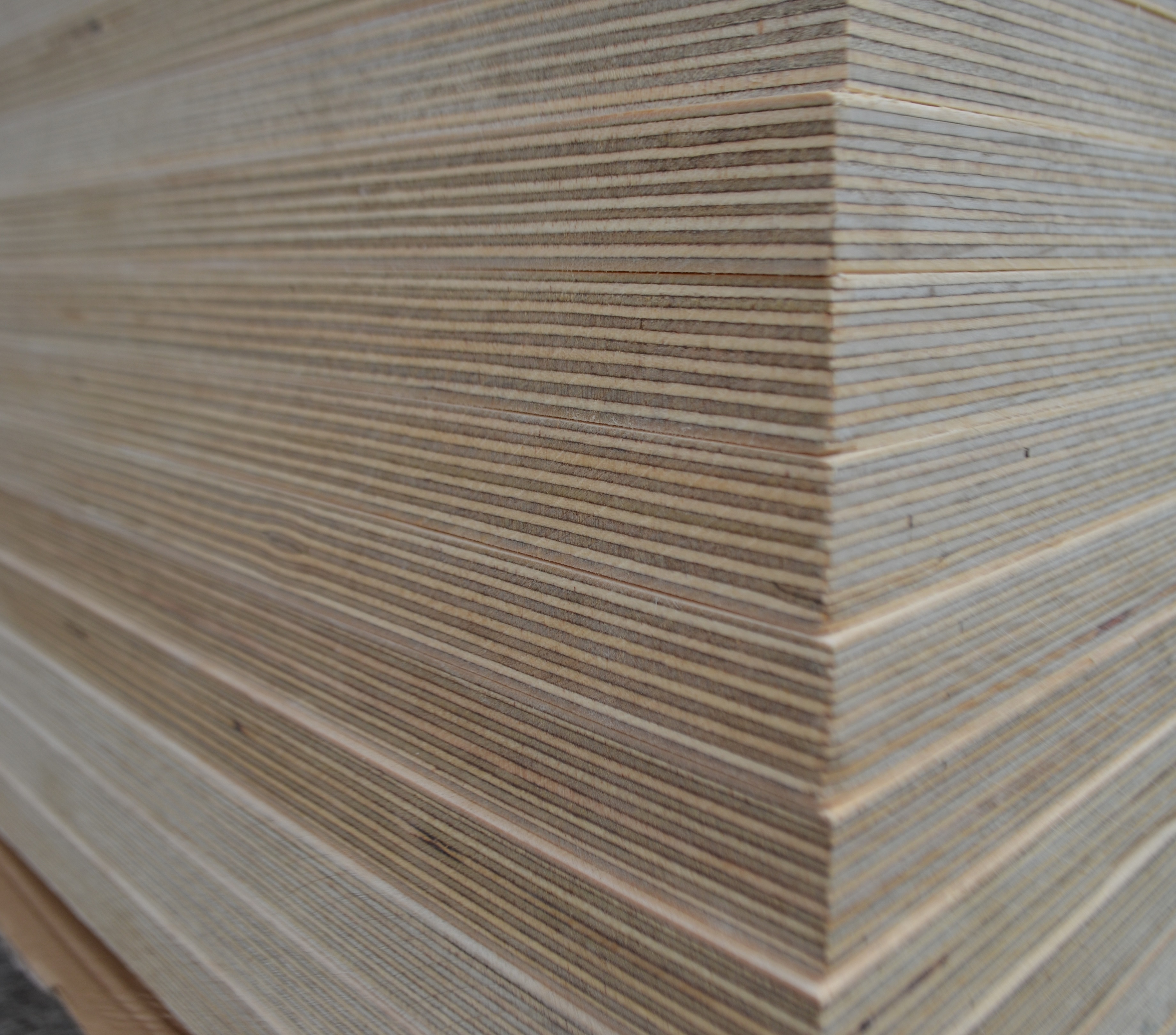 Hoop Ply | Creative Timbers