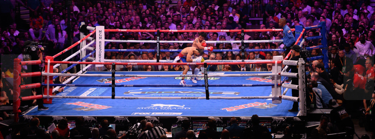 Pro USA Regulation Boxing Ring 20’ X 20’