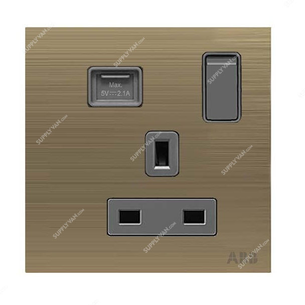ABB AM23586-AG Single Pole Switched Socket With USB Charger Millenium 1 ...