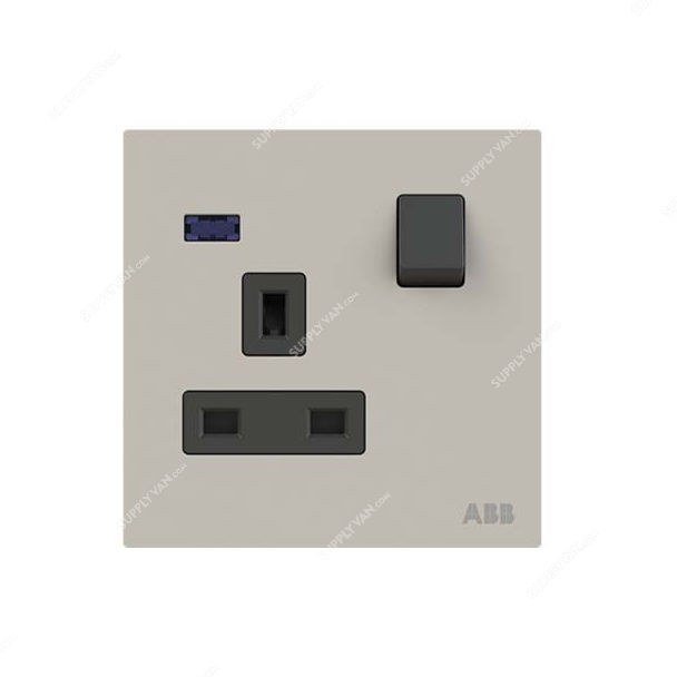 ABB AM23886-DU Double Pole Switched Socket With LED Millenium 1 Gang ...