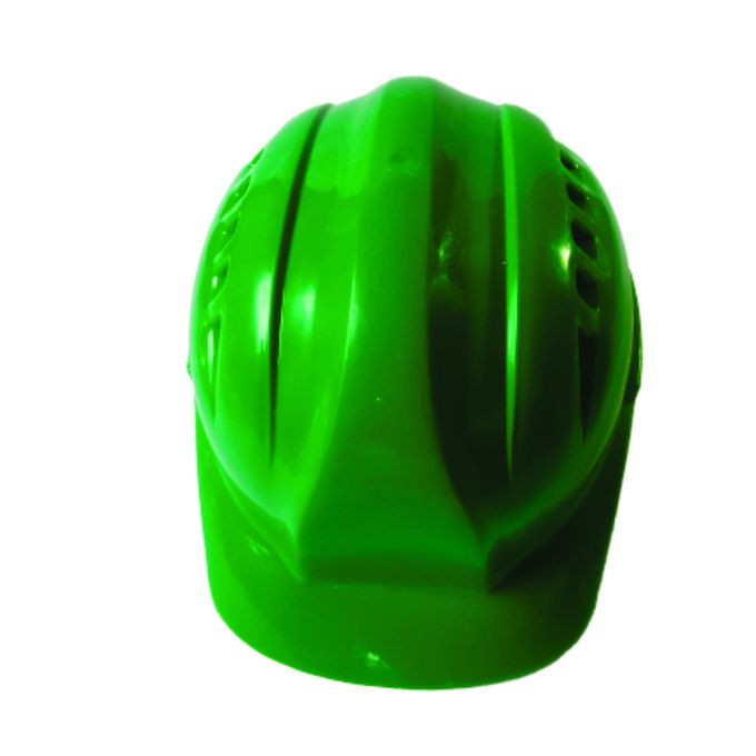 Vaultex Safety Helmet With Pinlock Textile Suspension, VHT, Green ...