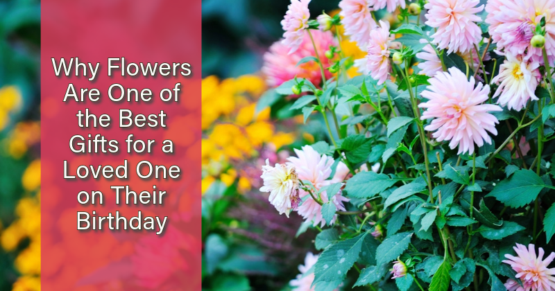 Why Flowers Are One of the Best Gifts for a Loved One on Their Birthday ...