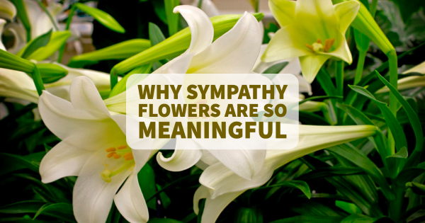 Why Sympathy Flowers Are So Meaningful - Main Floral