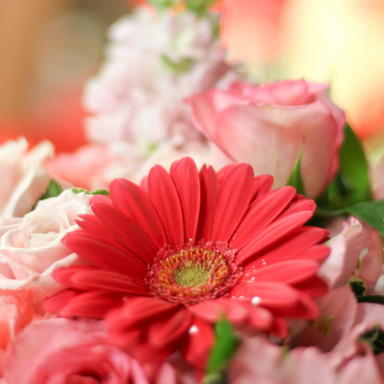 Your Guide to the Best Flower Shops in Blaine and Champlin, MN - Main ...