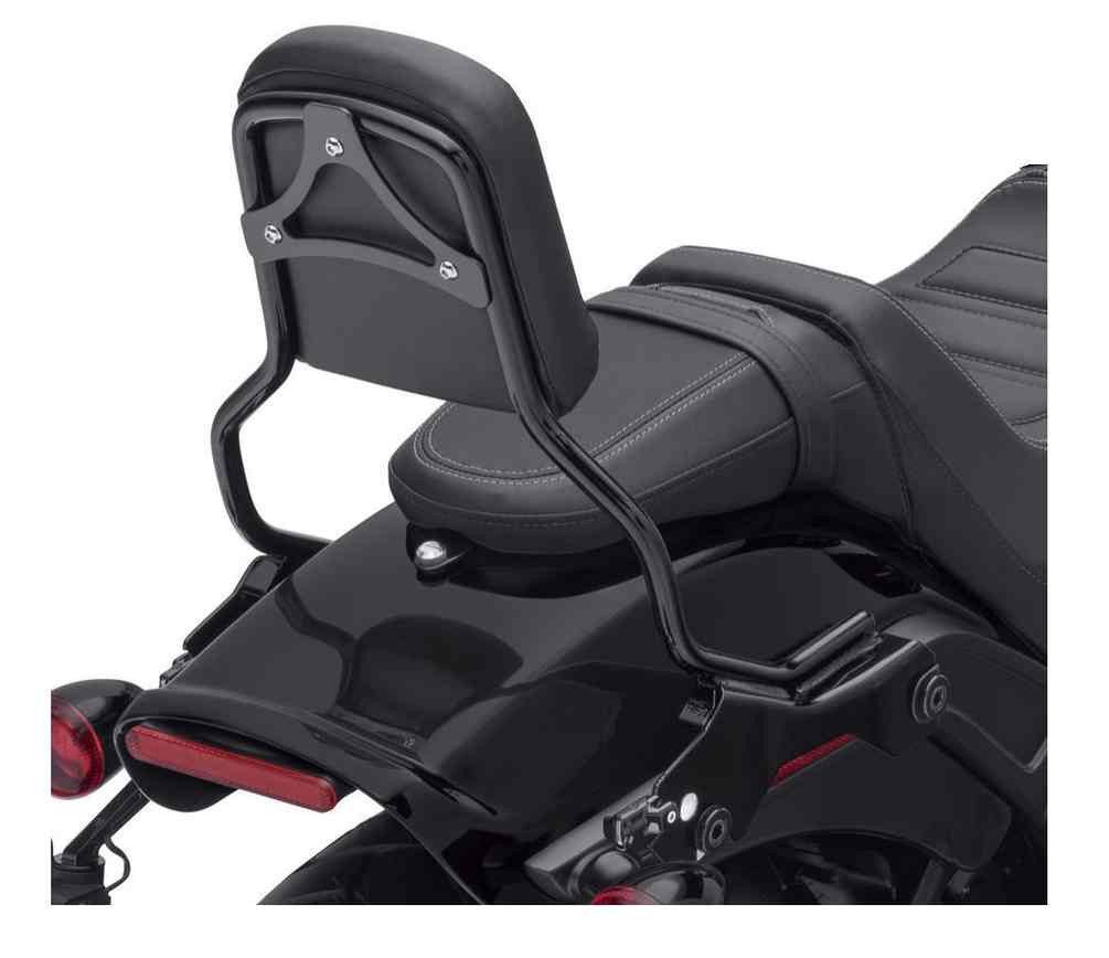Harley-Davidson® HoldFast Sissy Bar Upright - Standard - Gloss Black ...