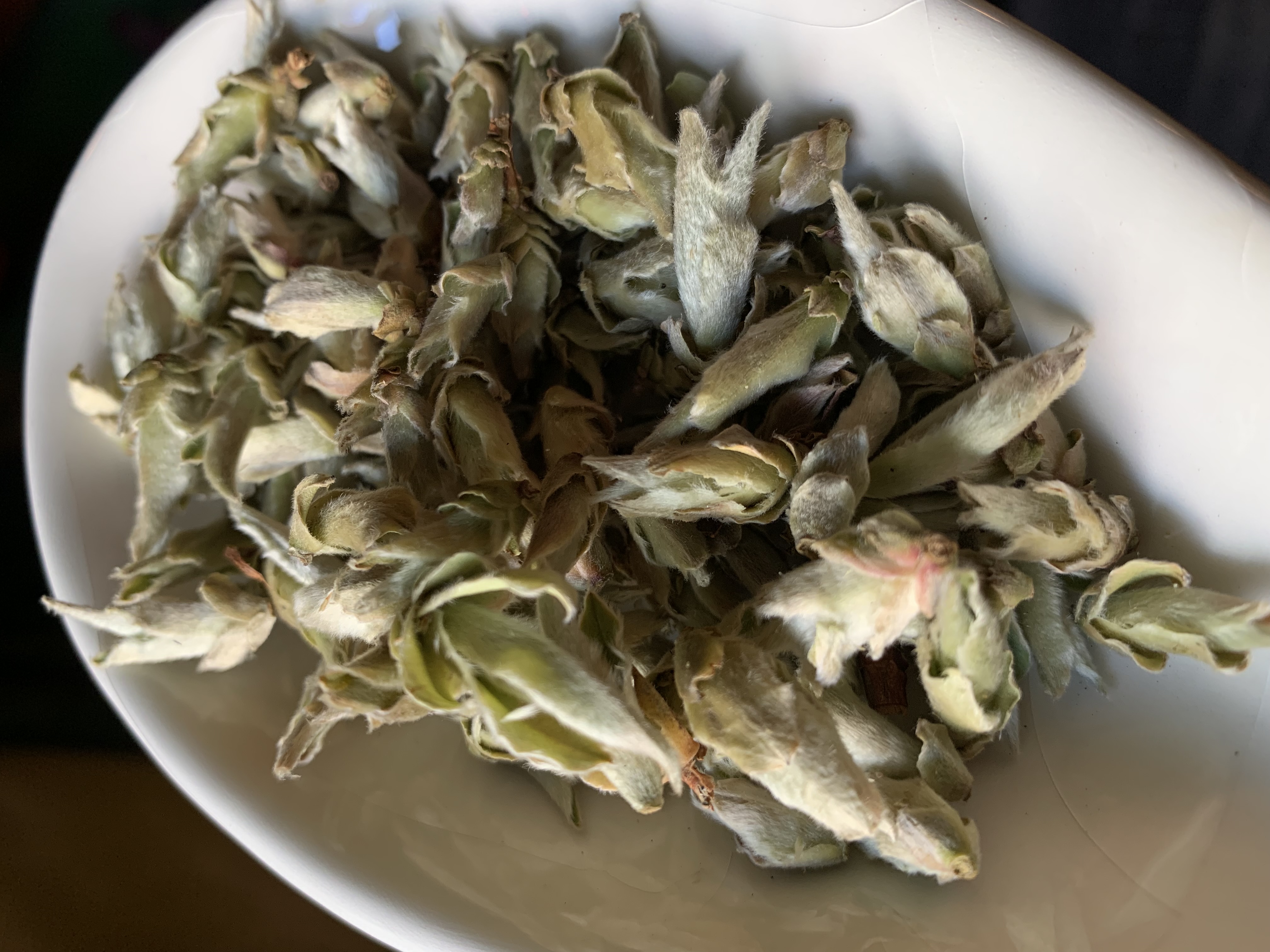 Bai Ya Bao (Wild White Tea Buds) - Physical Graffitea