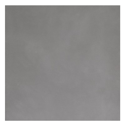 Evolution Blanco Matte 12x24