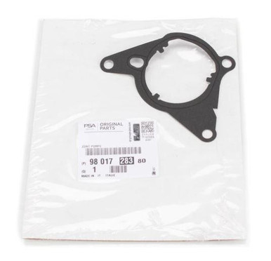 Peugeot/Citroen Vacuum Pump Seal - 9801728380 - F0009801728380