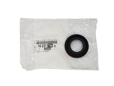 Drive Shaft Oil Seal - 1623179580