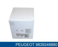 Peugeot/Citroen Plug -9839248880 - 9839248880