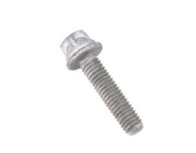 SCREW - 11099521