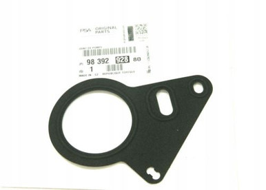 Citroen 2006-2022 Diesel High Pressure Pump Housing Seal - F0009839292880