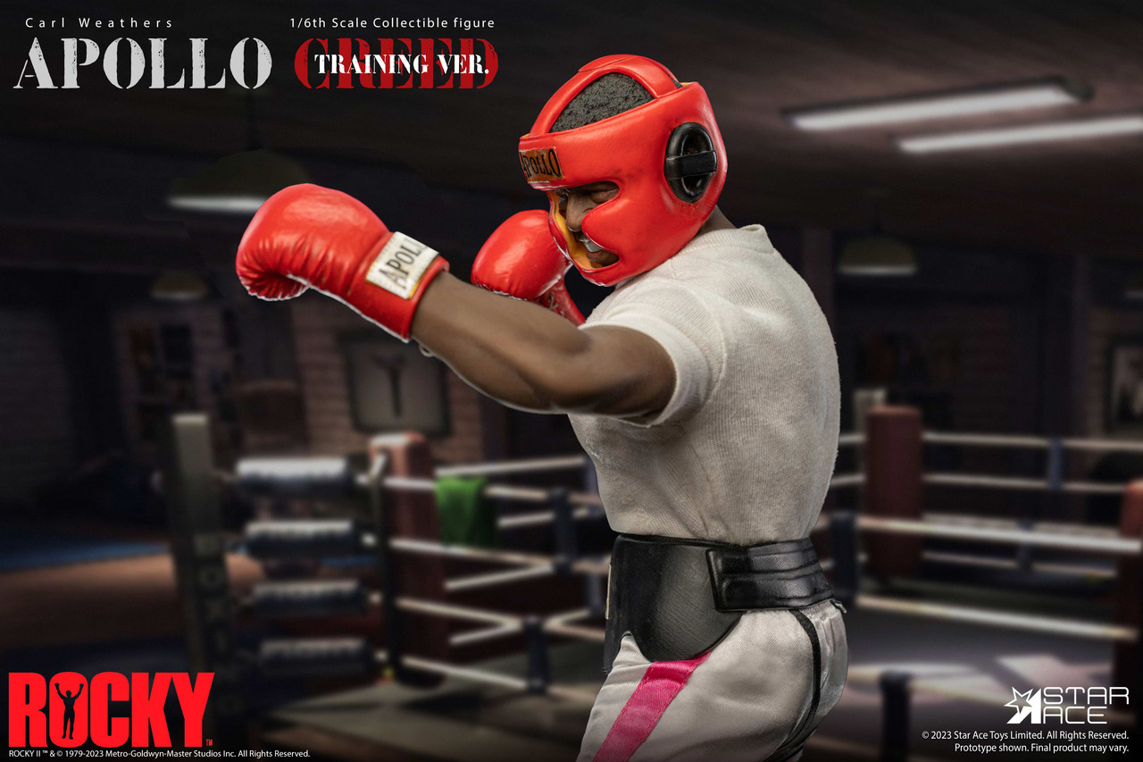 Rocky 6 Training