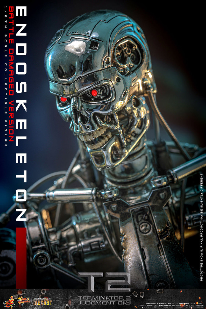 endoskeleton terminator