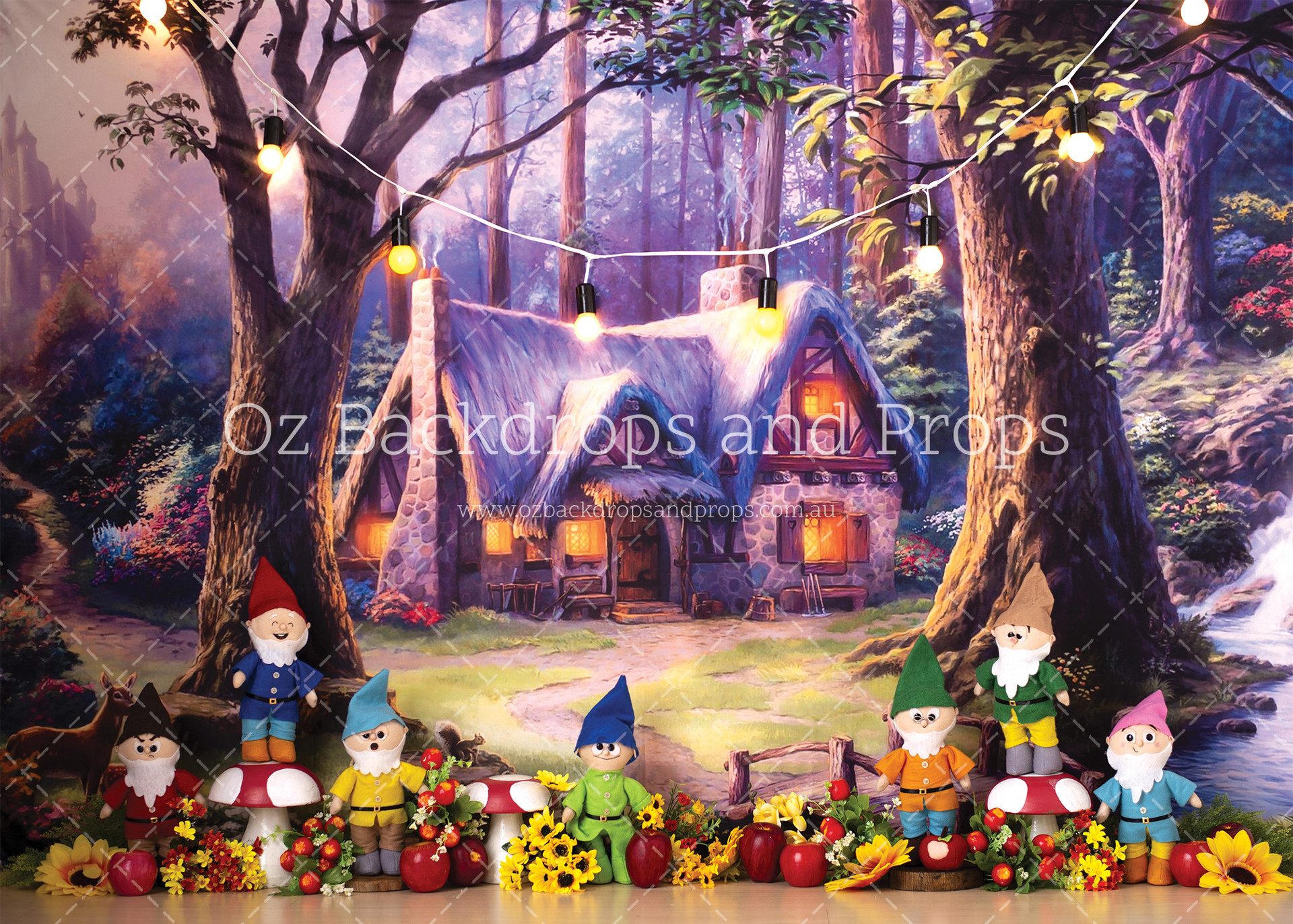 Cabin Floor - Oz Backdrops & Props Pty Ltd