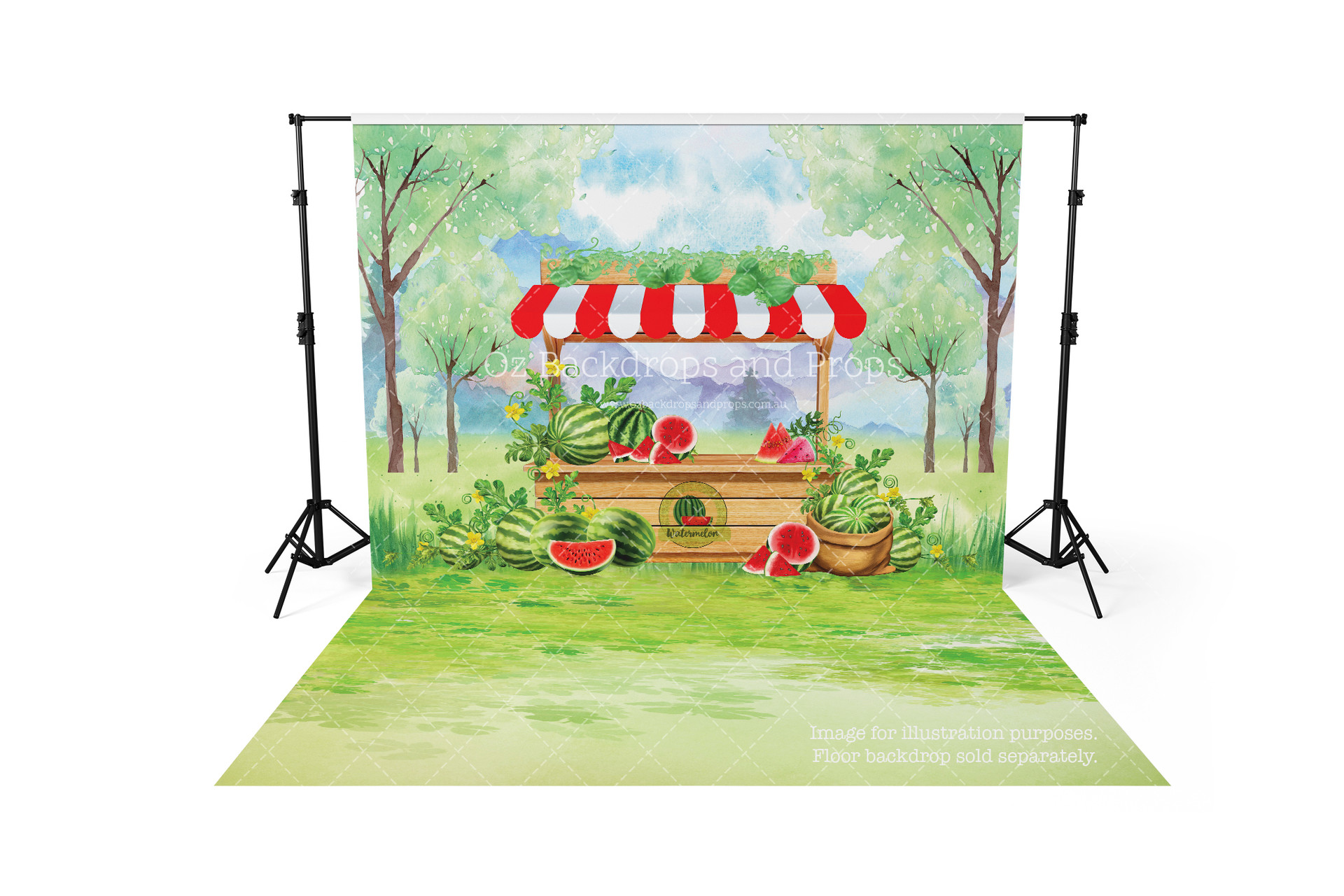 Watermelon Smash - Oz Backdrops & Props