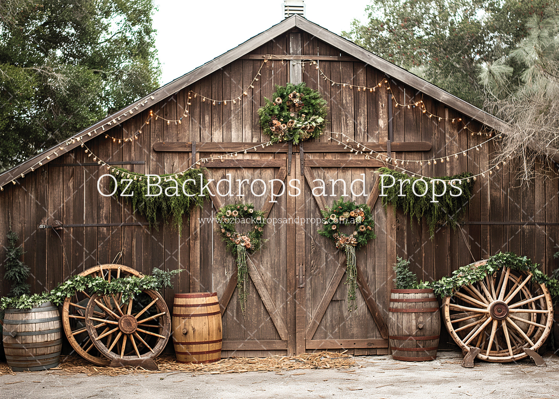Birch Greenery - Oz Backdrops & Props Pty Ltd