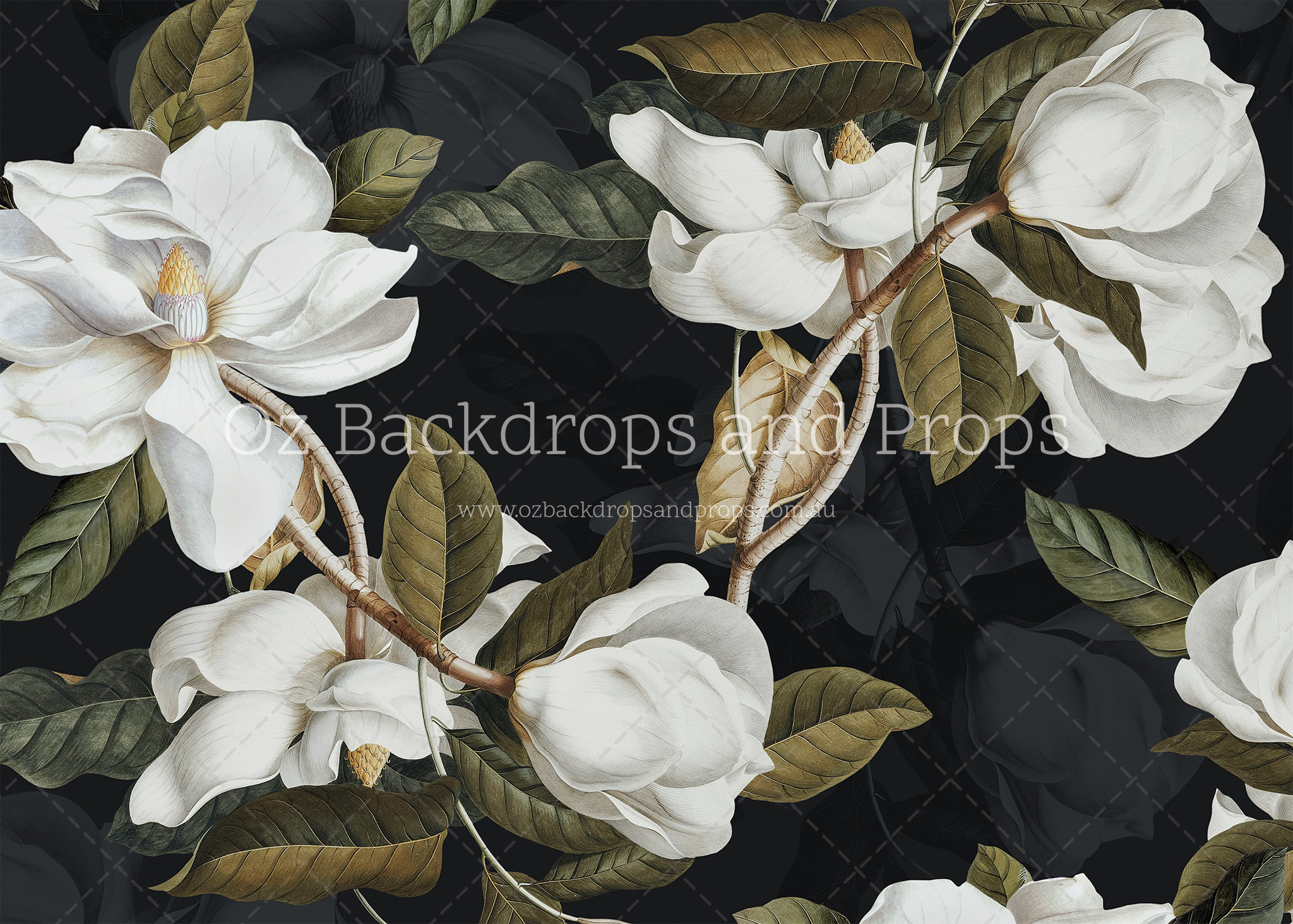 Black Magnolia Part One - Oz Backdrops & Props