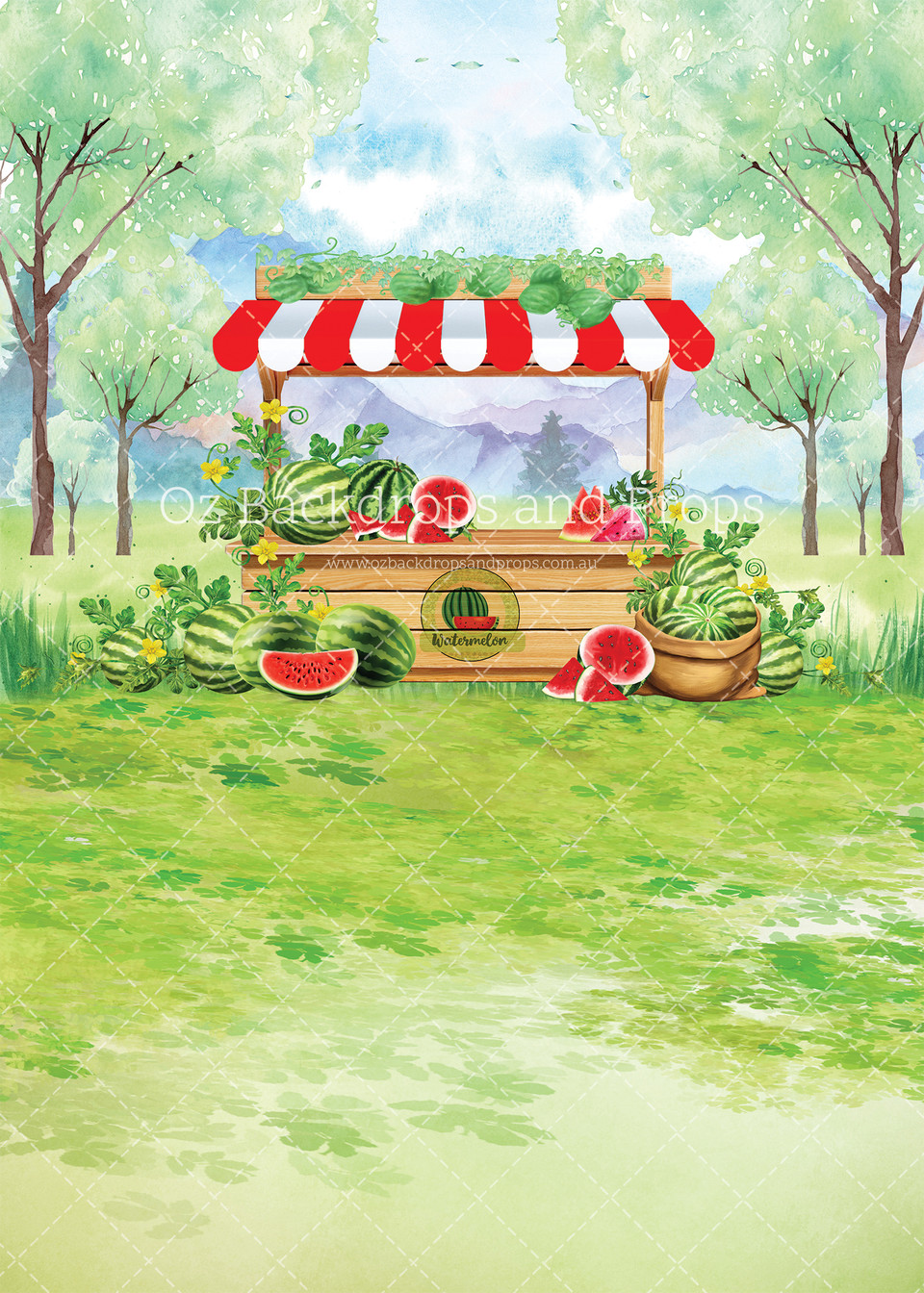 Watermelon Smash - Oz Backdrops & Props