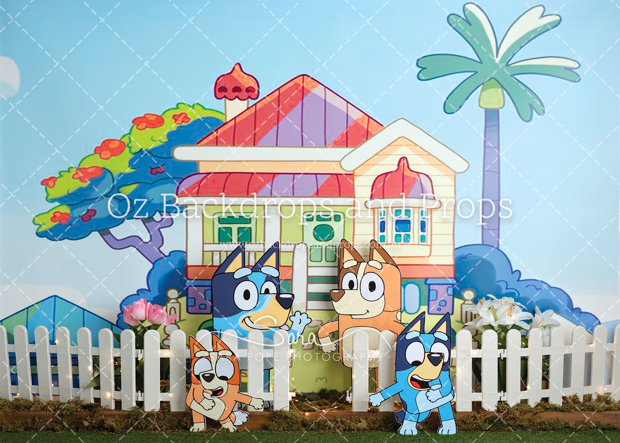 Ultimate Bluey - Oz Backdrops & Props