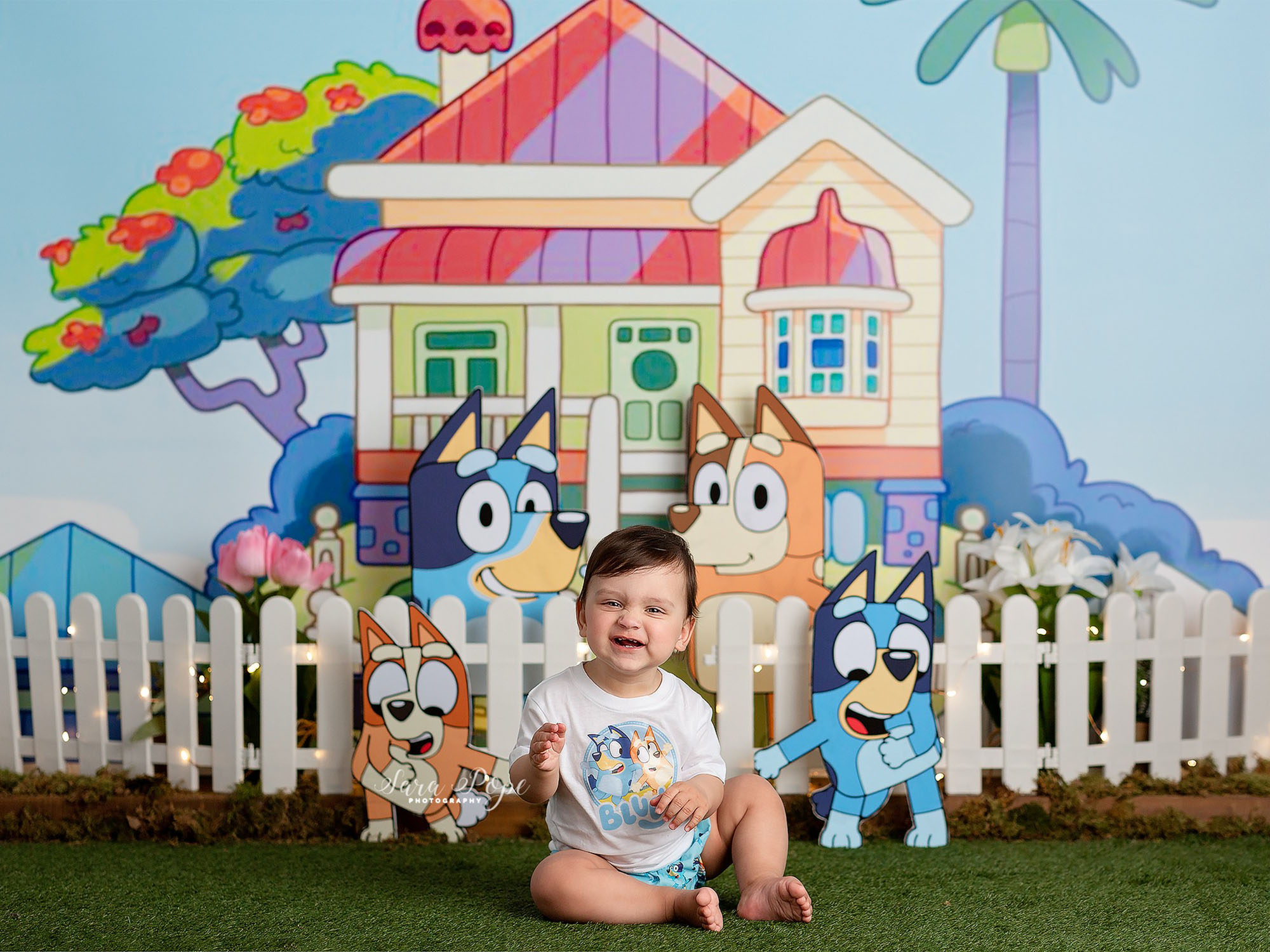 Ultimate Bluey - Oz Backdrops & Props