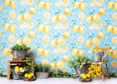 Lemondrop - Oz Backdrops & Props Pty Ltd