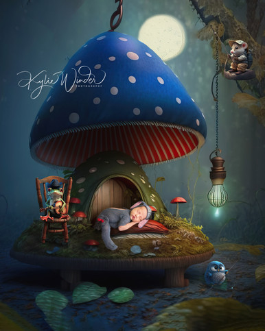 Magical Toadstool - Deluxe Fantasy Digital Backdrops - Oz Backdrops ...