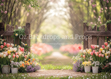 Spring Sunlight - Oz Backdrops & Props