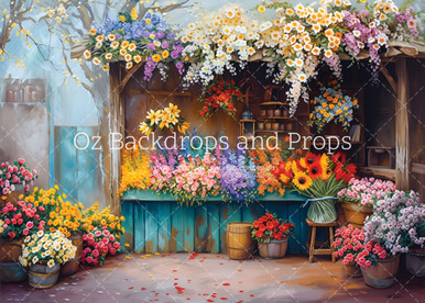 Painted Flower Shack - Oz Backdrops & Props