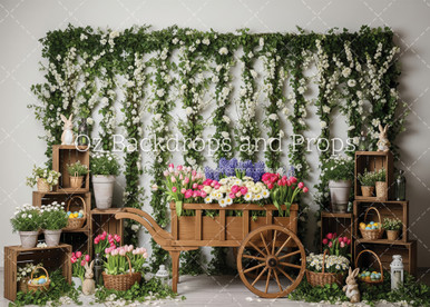 Indoor Spring Market - Oz Backdrops & Props
