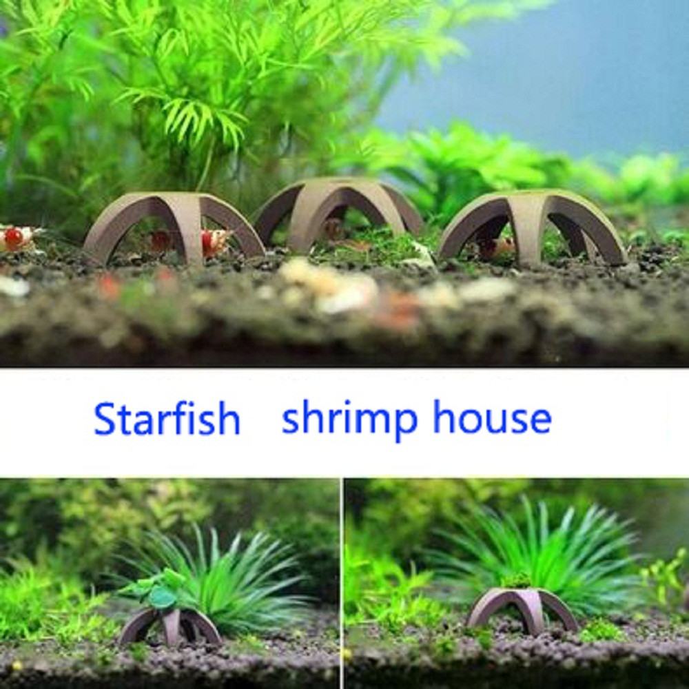 Aquarium Shrimp Star Clay Shelters Hiding and Breeding Cave - Jungle ...