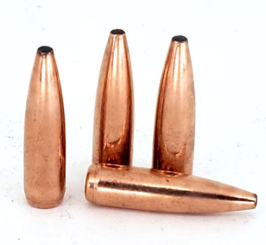 Federal Fusion Hunting Bullets 30 Caliber 180 Grain sample pack